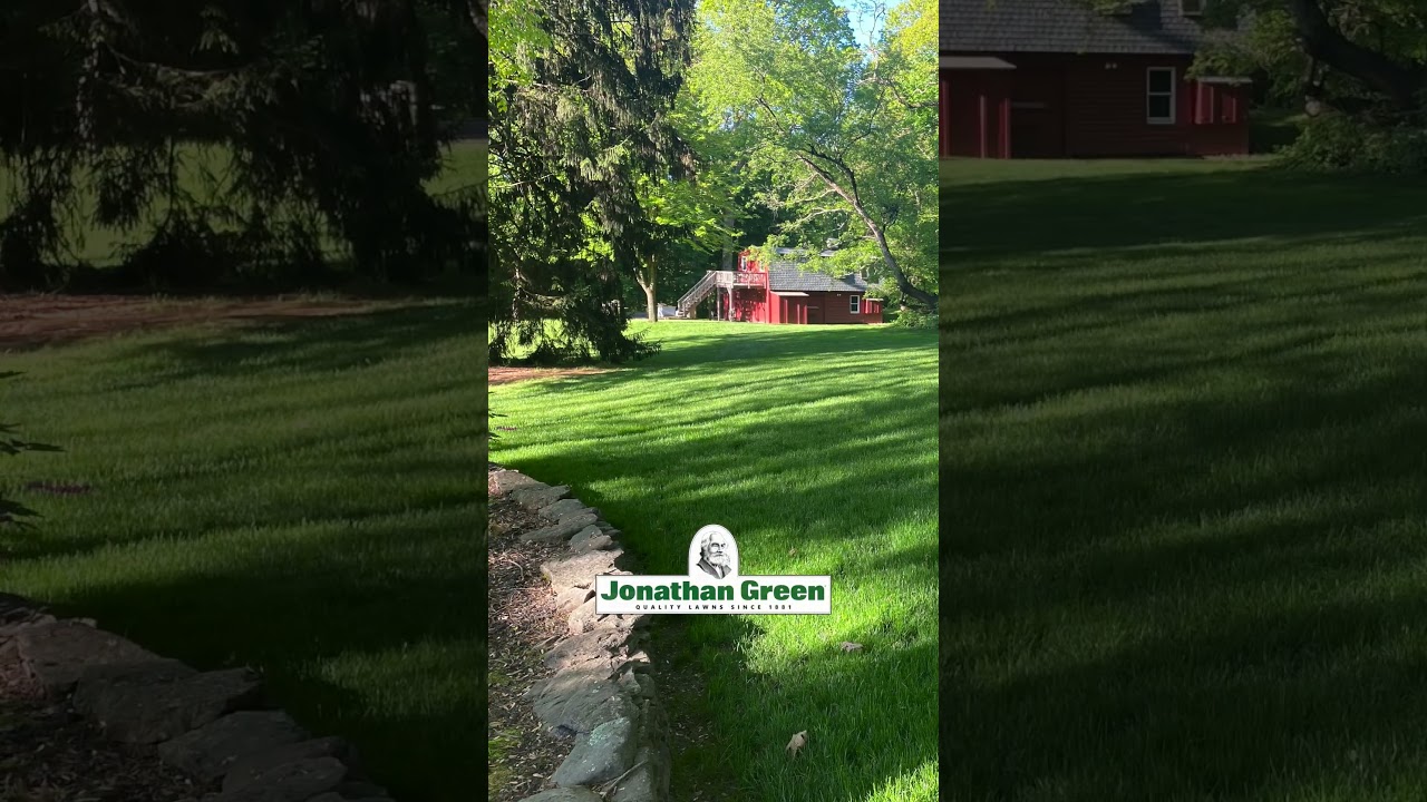 Lawn Transformation - A Few Simple Steps To Grow Grass